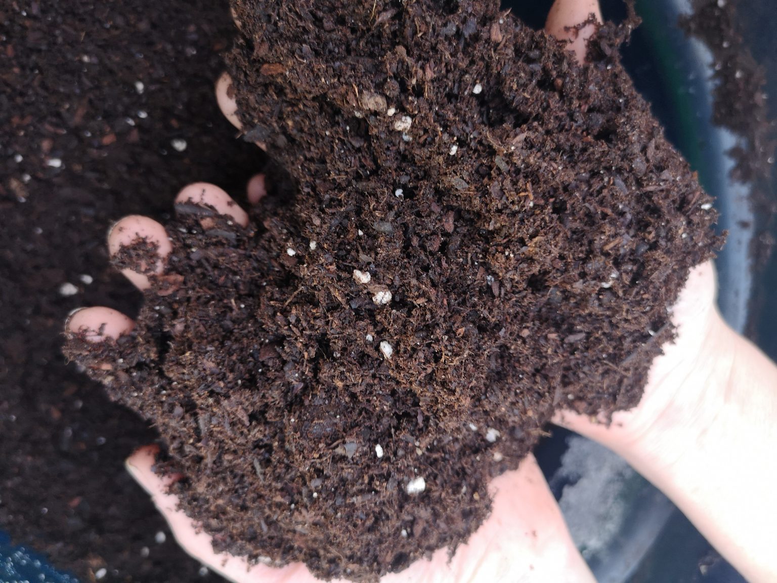 Tudo o que deve saber sobre substratos e como escolher os melhores ...