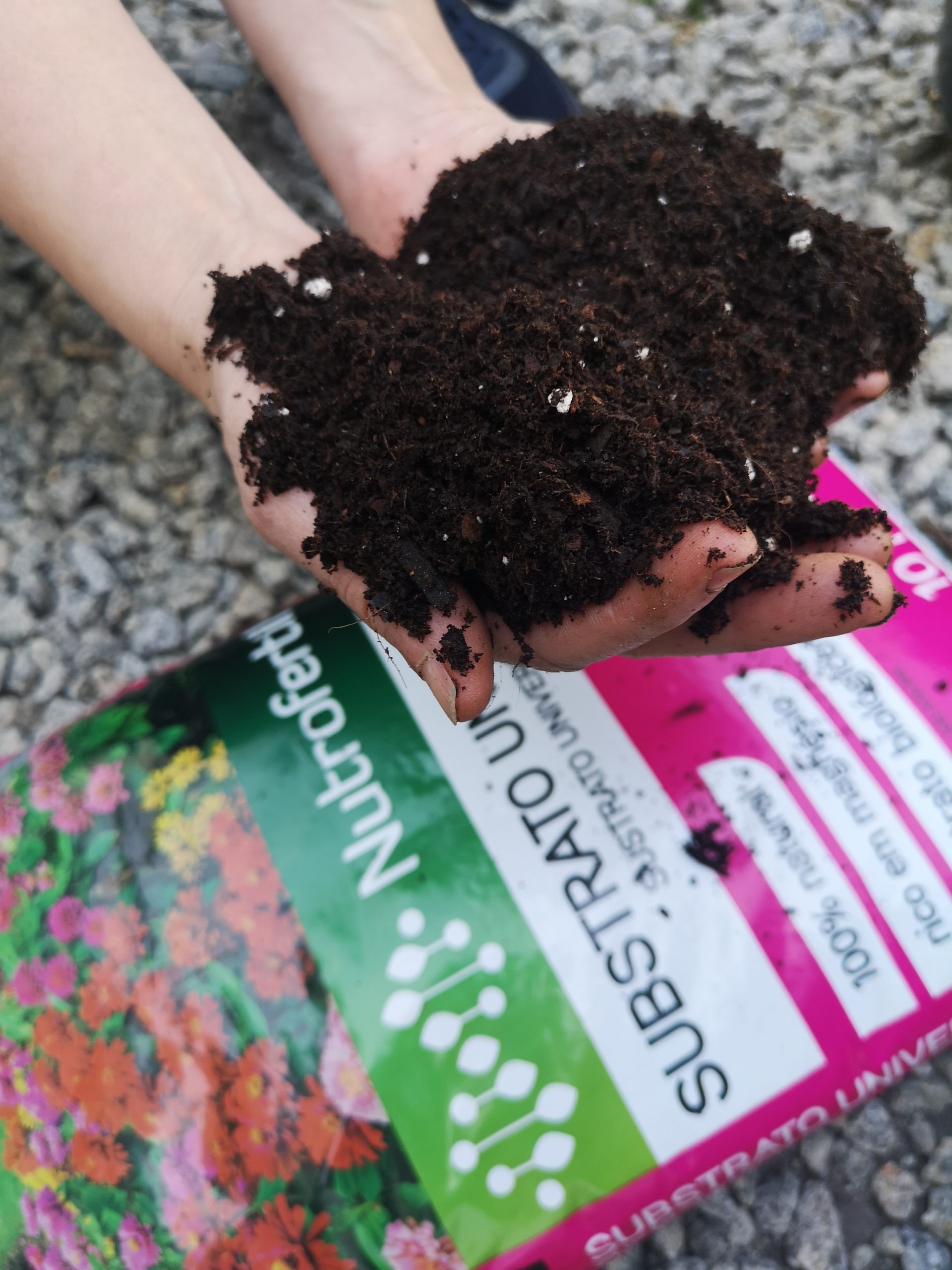 Tudo o que deve saber sobre substratos e como escolher os melhores ...